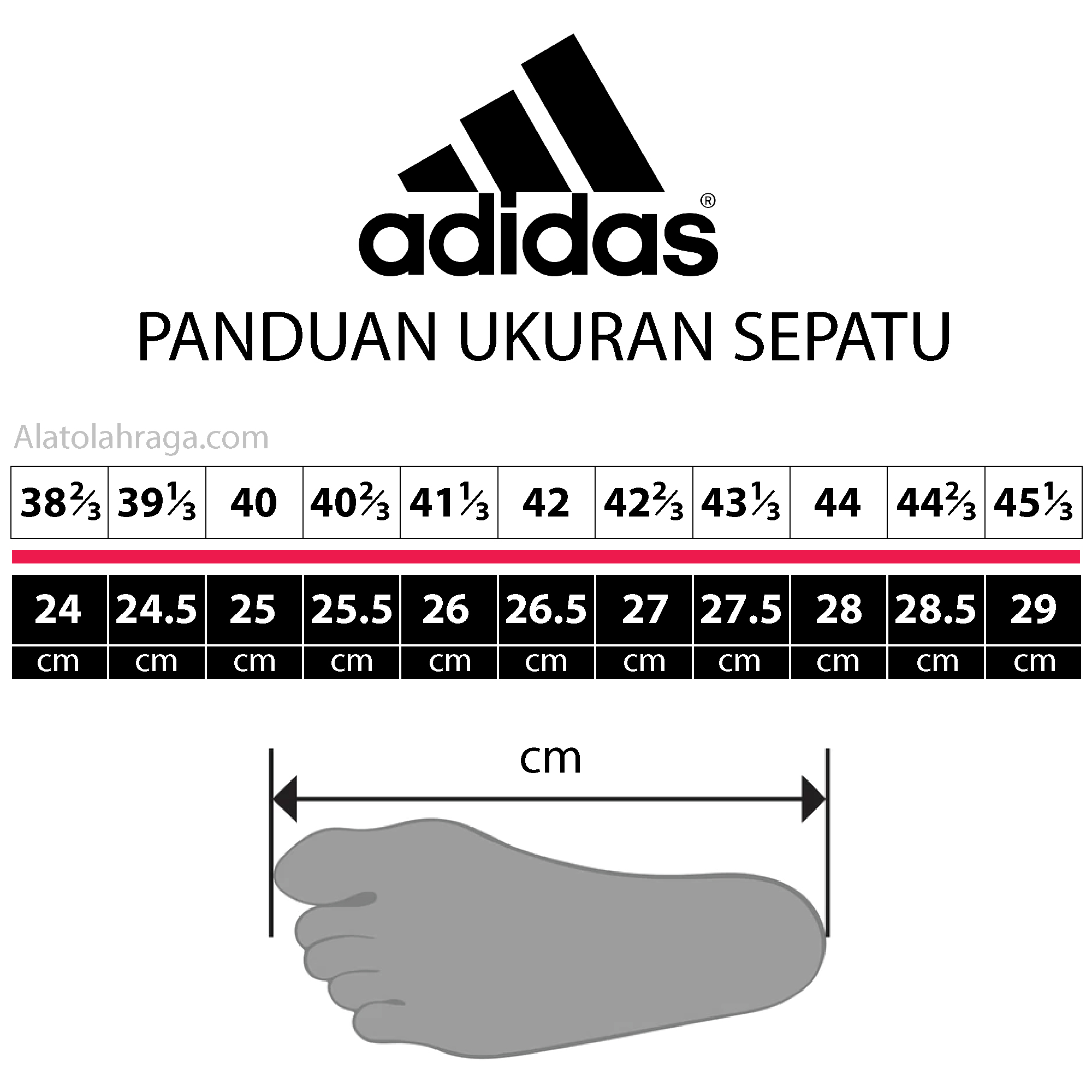 Panduan Ukuran Sepatu Ubicaciondepersonascdmxgobmx